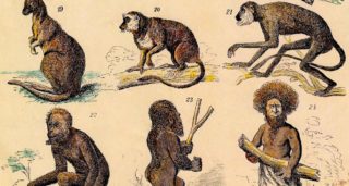 What Does Evolution Mean for the Bible?