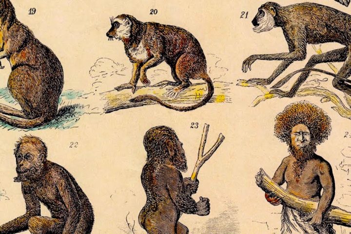 My Reading List for Making the Film - Is Genesis History?