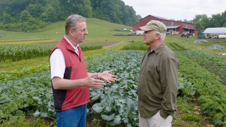 Lesson 3: Why do Adam & Eve Matter? - Is Genesis History?