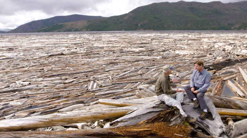 4 Surprising Things About Coal and the Flood - Is Genesis History?