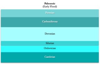 What is the Geologic Column from a Creationist Perspective? - Is ...