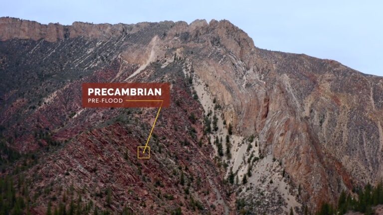 What is the Geologic Column from a Creationist Perspective? - Is ...