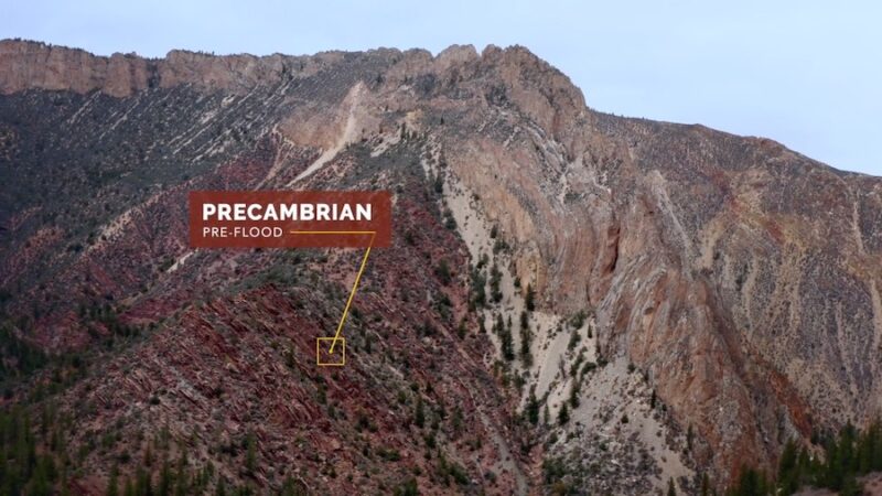 What is the Geologic Column from a Creationist Perspective? - Is ...