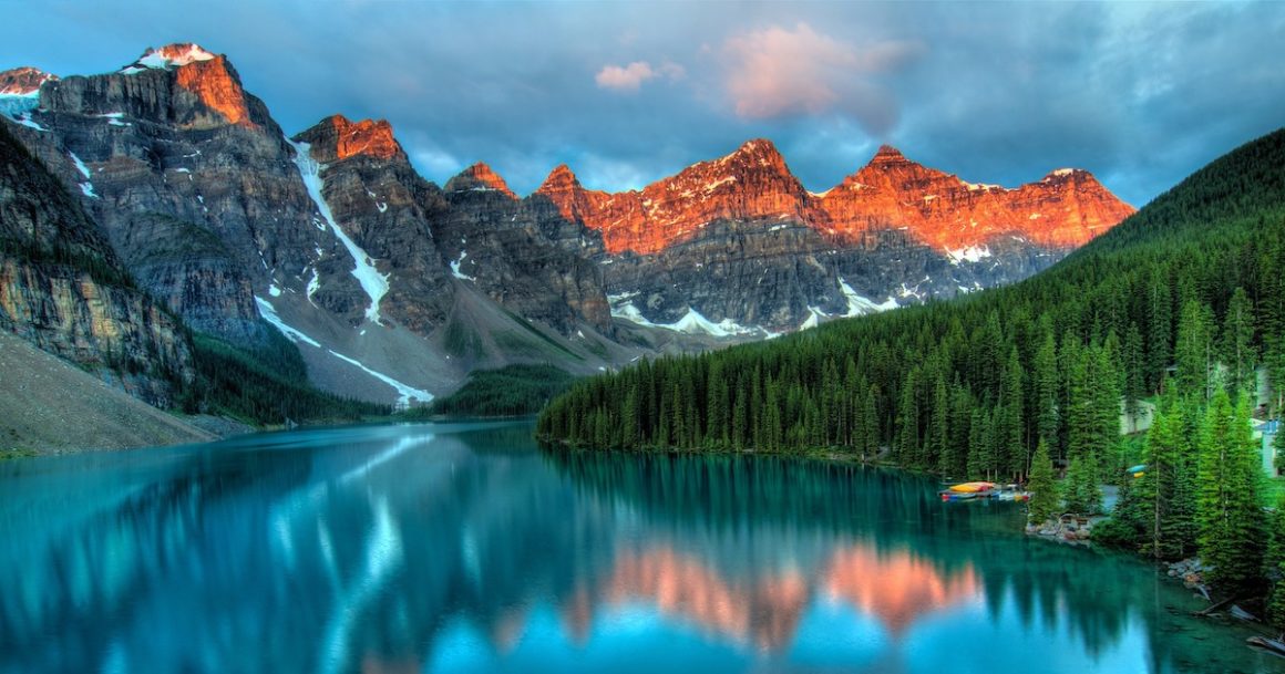 A Brief History of Everything According to Genesis: Introduction ...